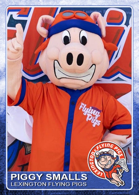 flying pigs baseball